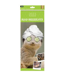 Mad Meerkats Calendar 2023 - The Calendar and Gift Company