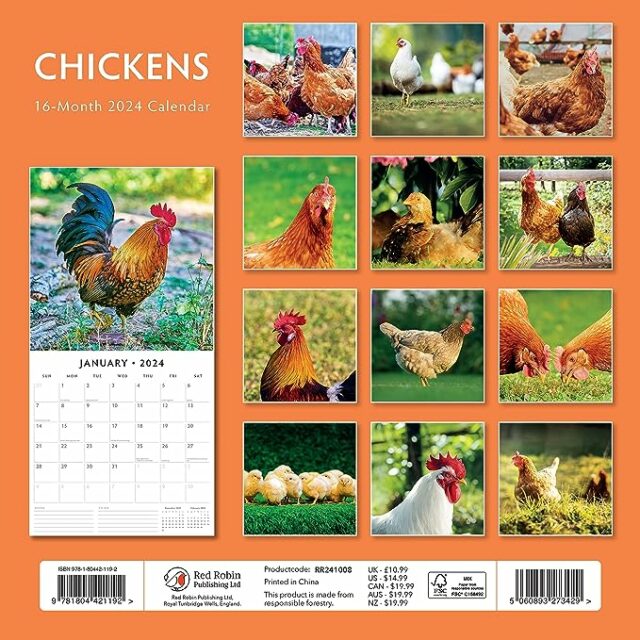 Chickens Calendar 2024 - The Calendar and Gift Company