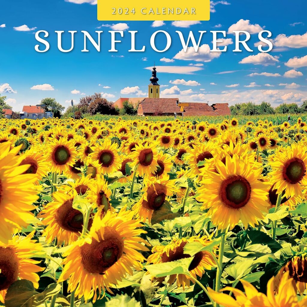Sunflowers Calendar 2024 - The Calendar and Gift Company